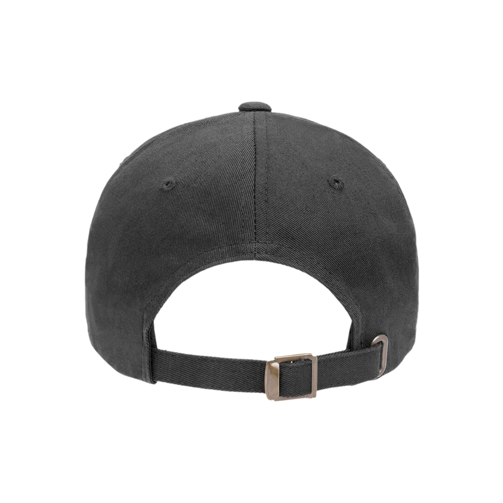 PLUGPLAY™ RNBW | EDC KANDI KUSH DAD HAT